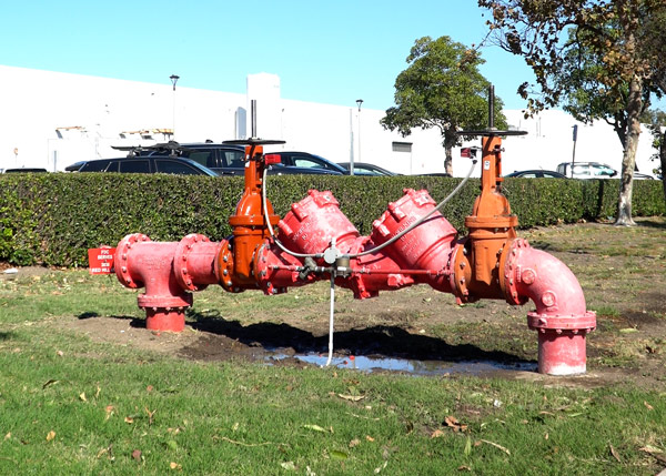 Repair or Replace Your Fire Sprinkler Backflow Preventer - Fire Safety ...